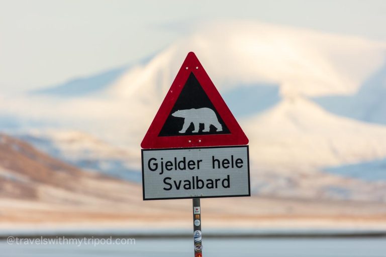 Exploring the Wilderness of Svalbard - Kingdom of the Polar Bear ...